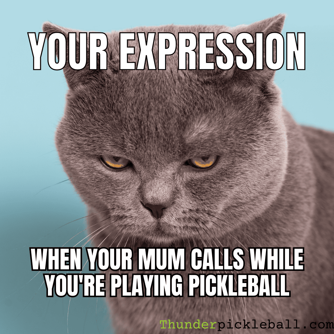 Funny Pickleball Memes - Thunder Pickleball