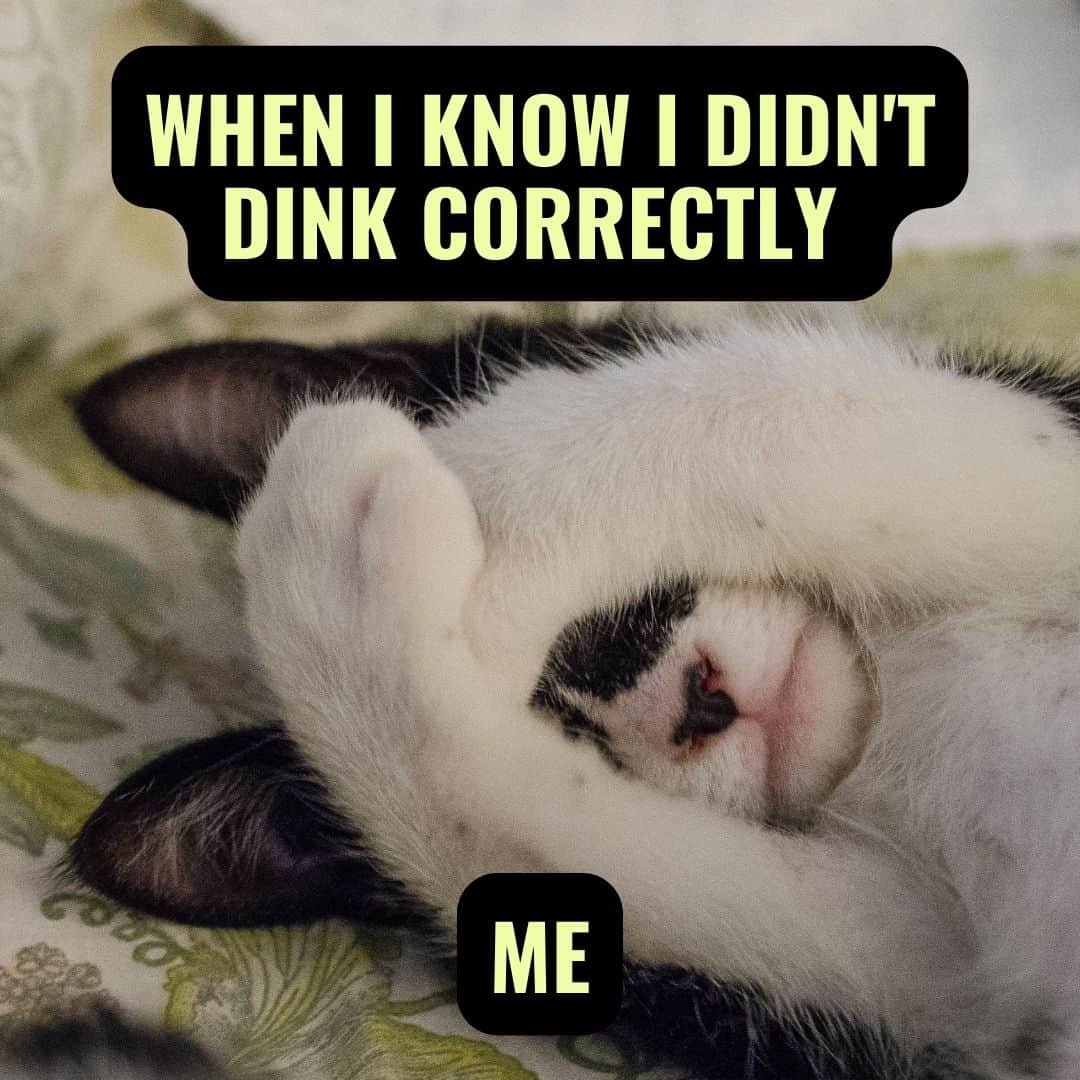 Funny Pickleball Memes - Thunder Pickleball